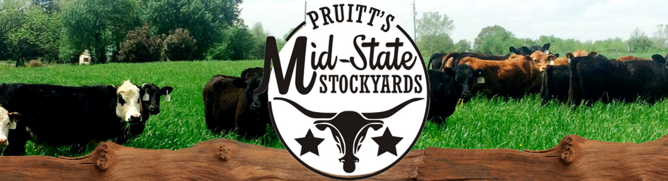 Social Networks For Pruitt's Mid-State Stockyards, LLC
